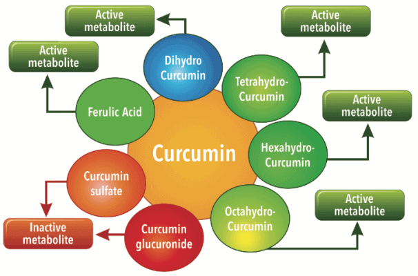 Scientific Study Reveals the Best Curcumin Product used by University ...
